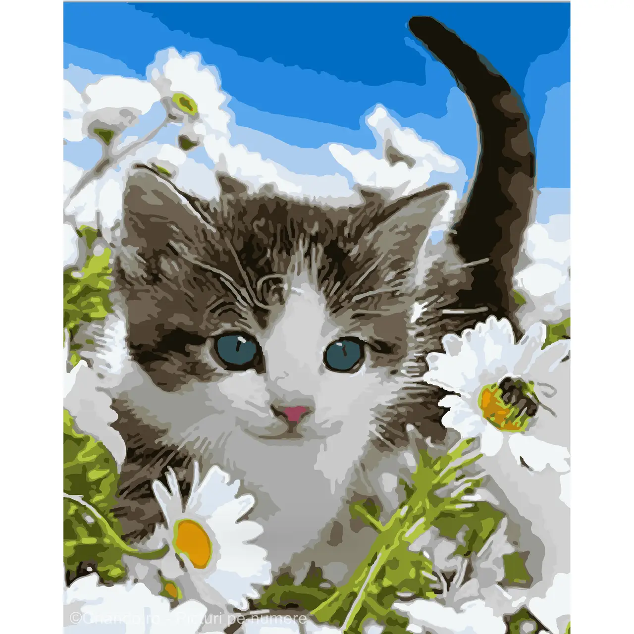 Pictura pe numere Animale 40x50 cm PDP2294